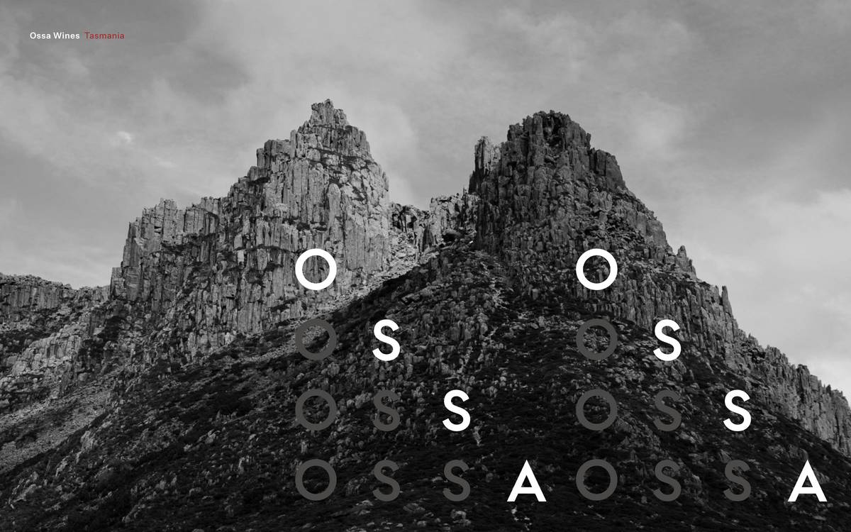 Ossa Wines Tasmania — Httpster