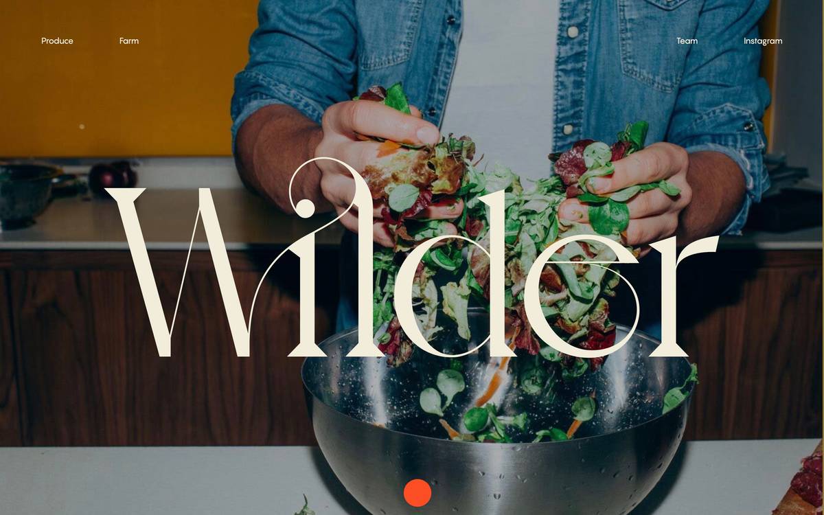 Wilder Fields — Httpster